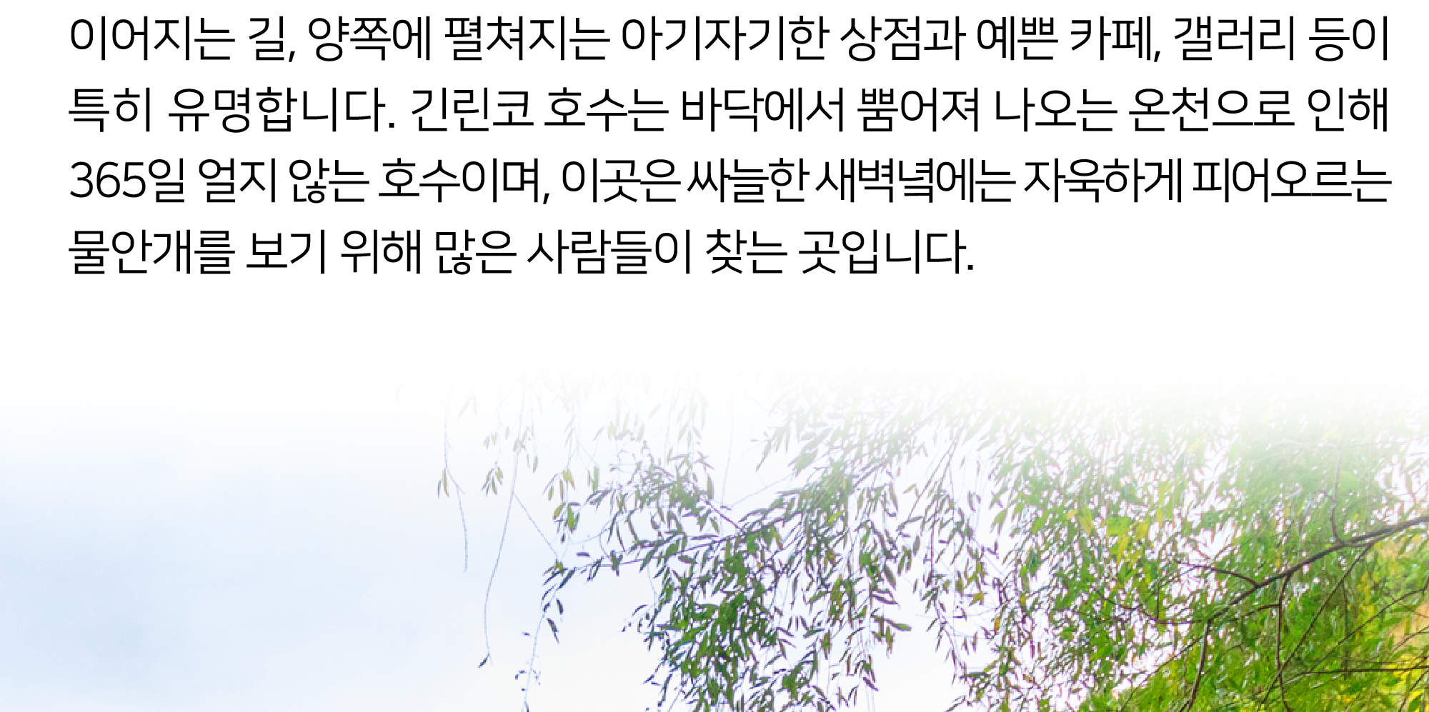 유후인 And 유후다케 And 벳부 유노하나 And 가마도지옥 일일 버스투어 한국어 가이드 후쿠오카 출발 클룩 Klook 한국